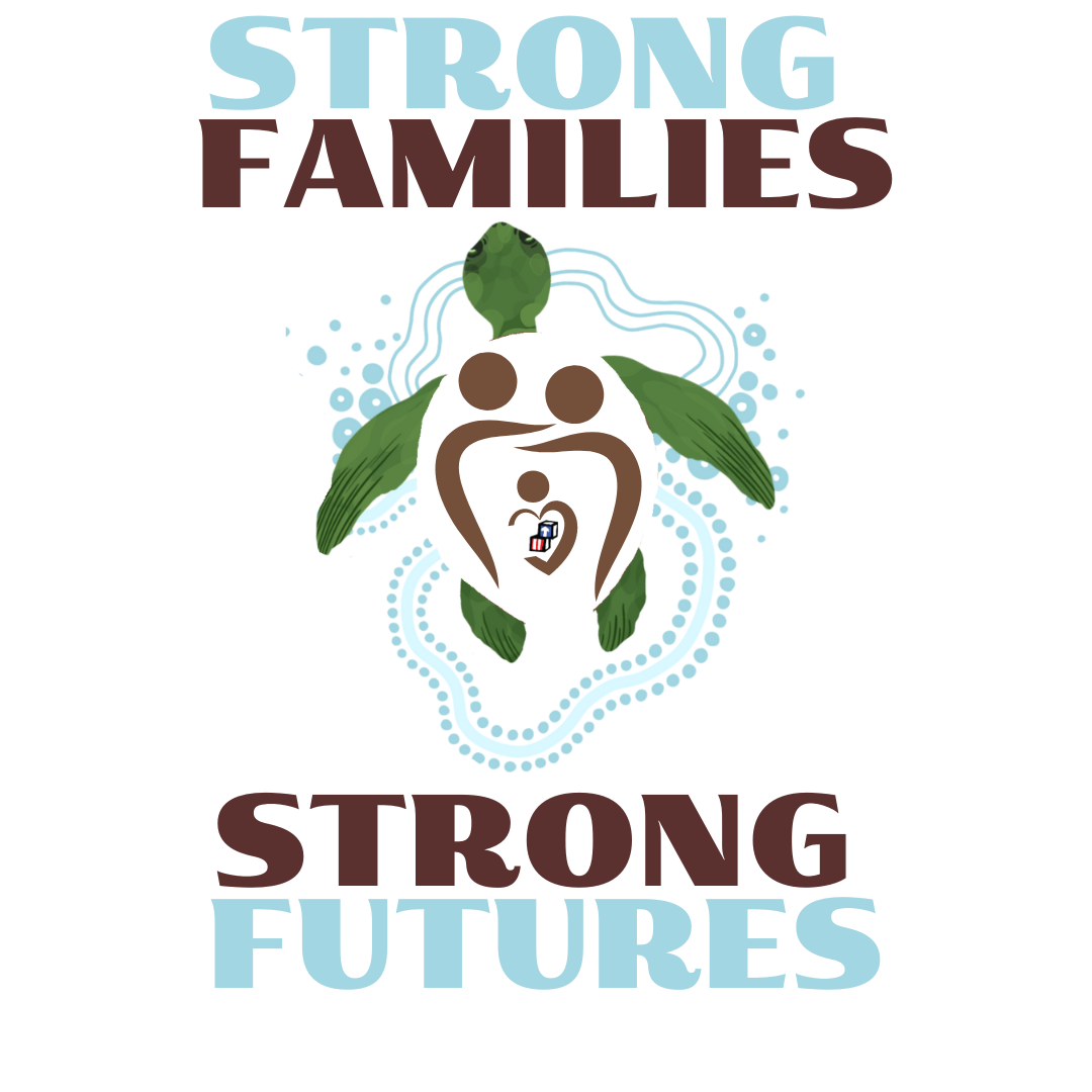 Various Polymer Banknotes and Currency From Different Countries For Sale